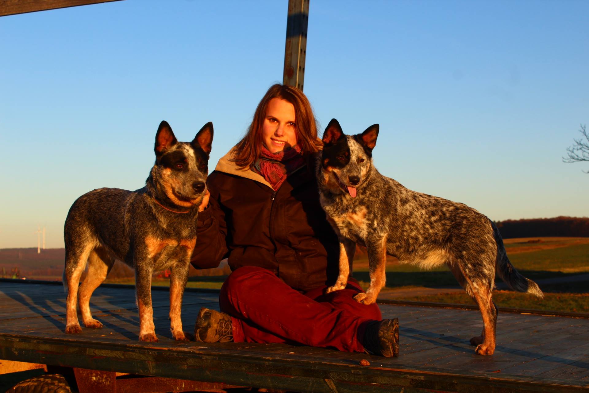 Funny Bouncing Lover - Zucht